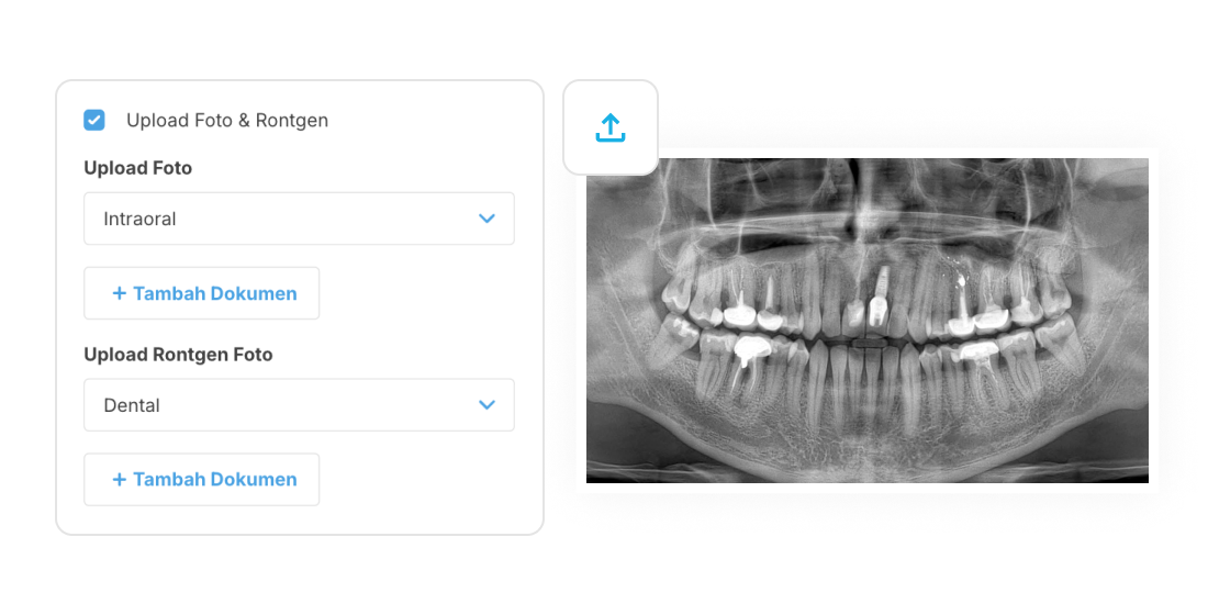 Odontogram
