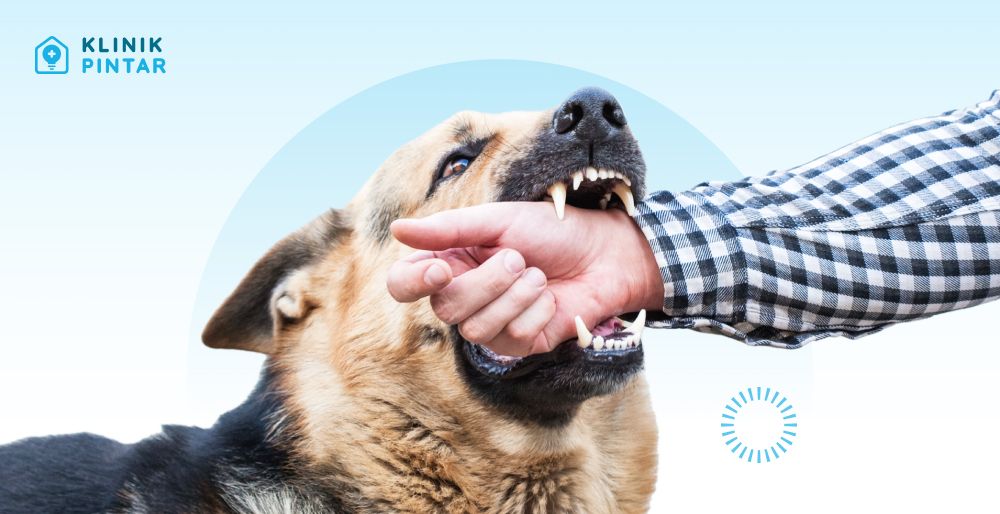 Gejala, Penyebab, dan Pengobatan Rabies