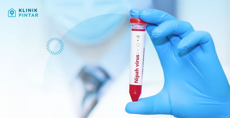 Apa Itu Virus Nipah? Ketahui Gejala dan Bahayanya! Apa Itu Virus Nipah? Ketahui Gejala dan Bahayanya!